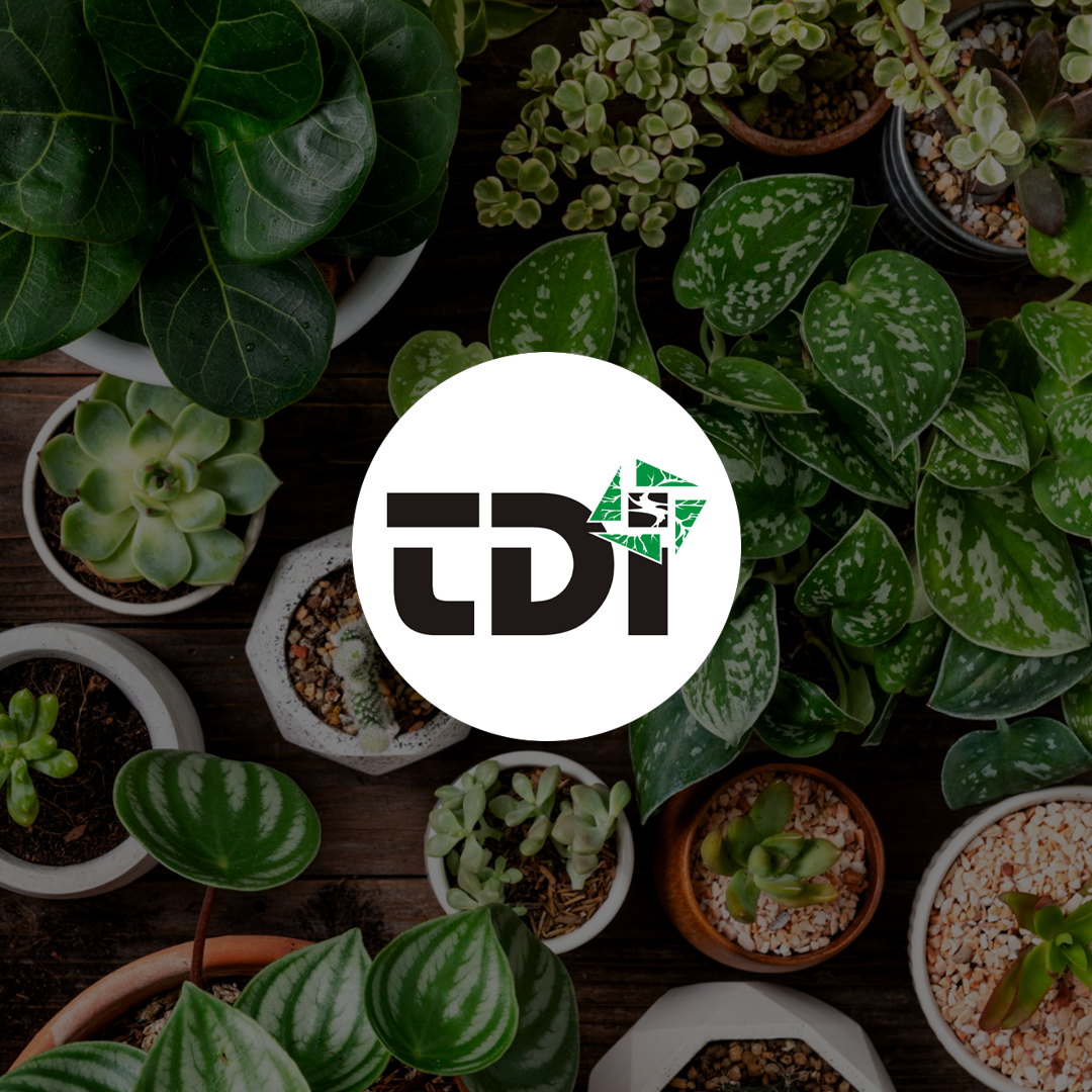 Home - Turf Dynamics